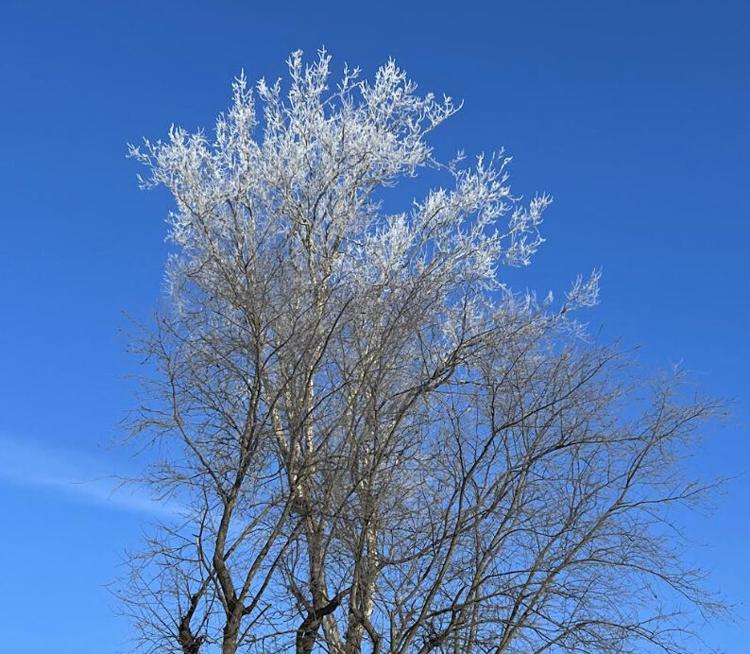 Hoarfrost comes to Circleville | Community | circlevilleherald.com