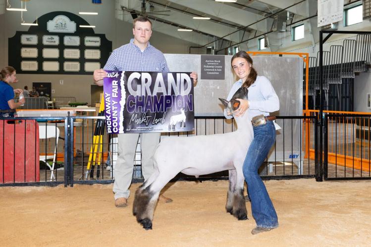 Pickaway County Jr. Fair Market Lamb Show Winners | For The Record ...