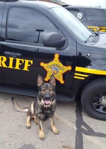Aron's Legacy benefits area police dogs | News | circlevilleherald.com
