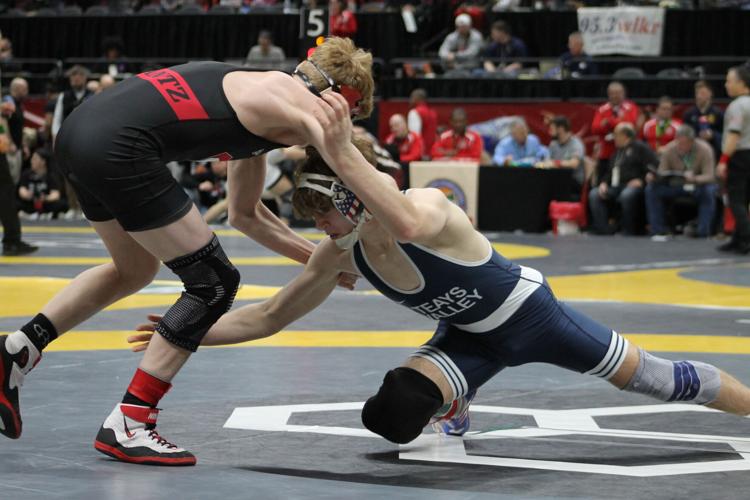 Local wrestlers competed at the Wrestling State Tournament | Sports ...