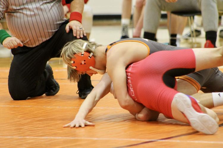 Logan Elm @ Amanda-Clearcreek Wrestling: Feb. 3 Gallery | Gallery | circlevilleherald.com