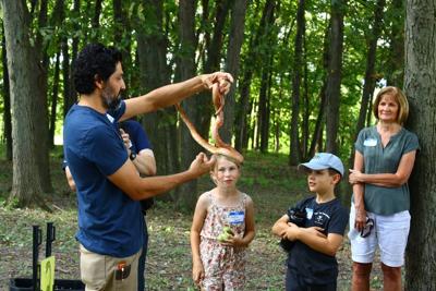 Snake Den Preservation Society held hike with public viewing | News ...
