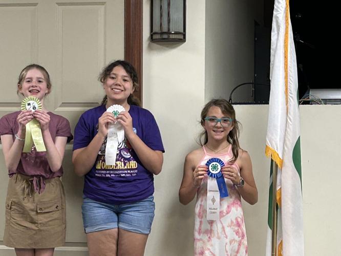 4-H Demonstrations: The Skills of Success | Community ...