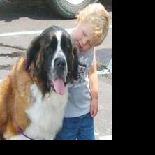 RASCAL unit helps 40 animals | News | circlevilleherald.com