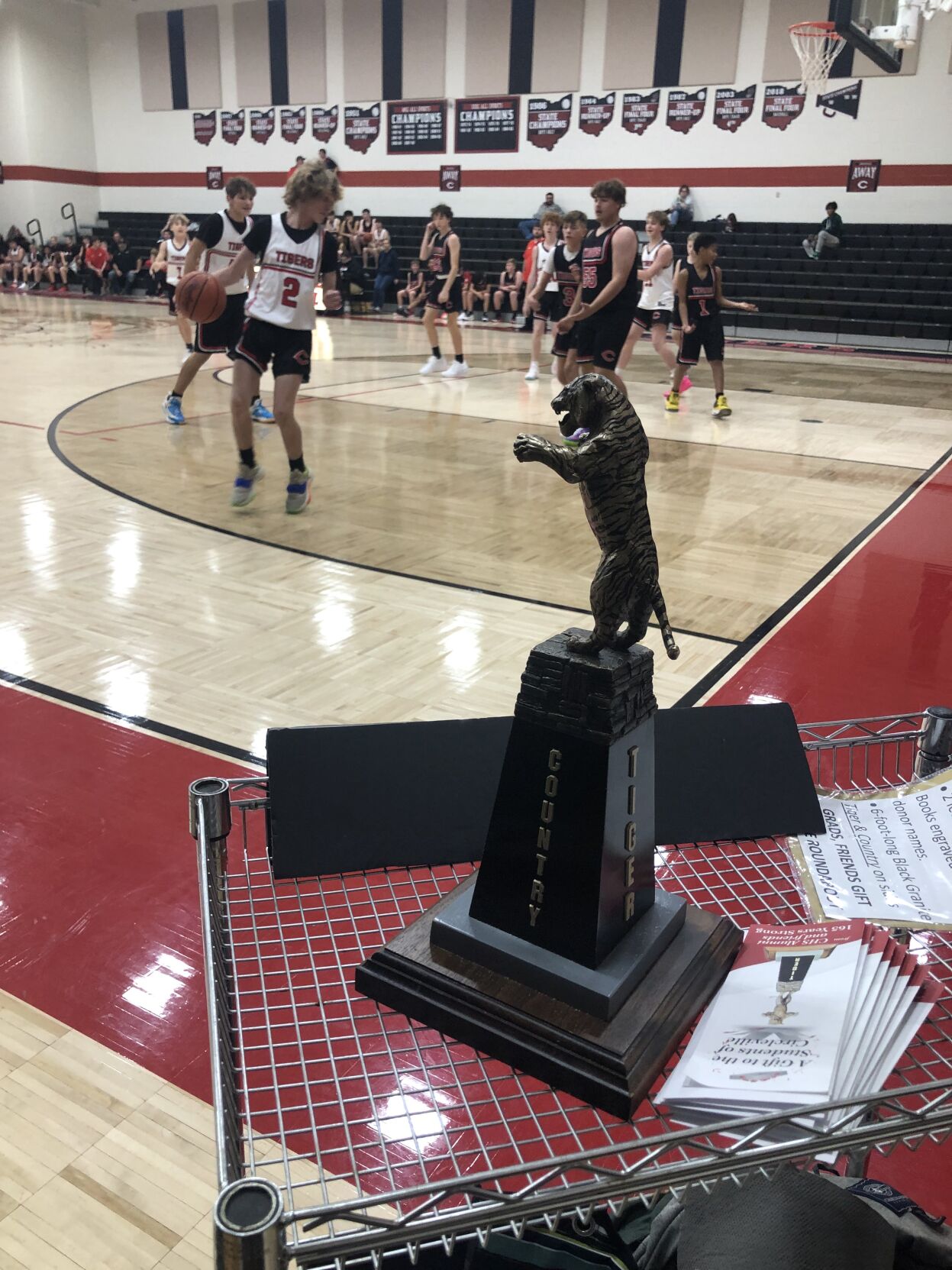 Stats by Class and other Bronze Tiger ’24 news | Community ...