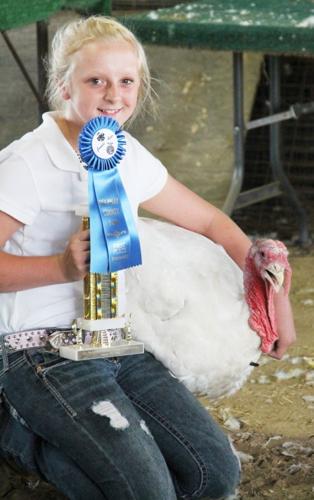 Tuesday fair winners | Gallery | circlevilleherald.com