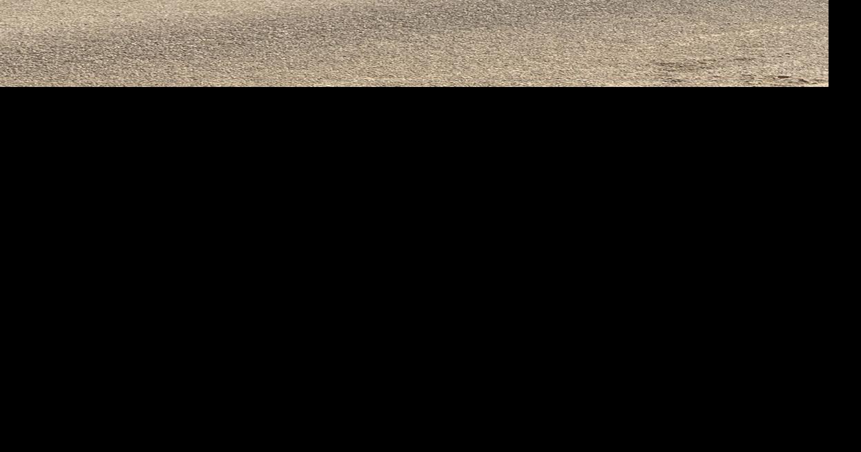 County Fair Harness Racing Wrap-up | Community | circlevilleherald.com