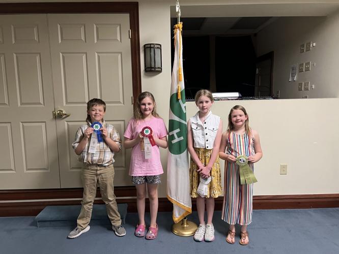 4-H members win with demonstrations | Community | circlevilleherald.com