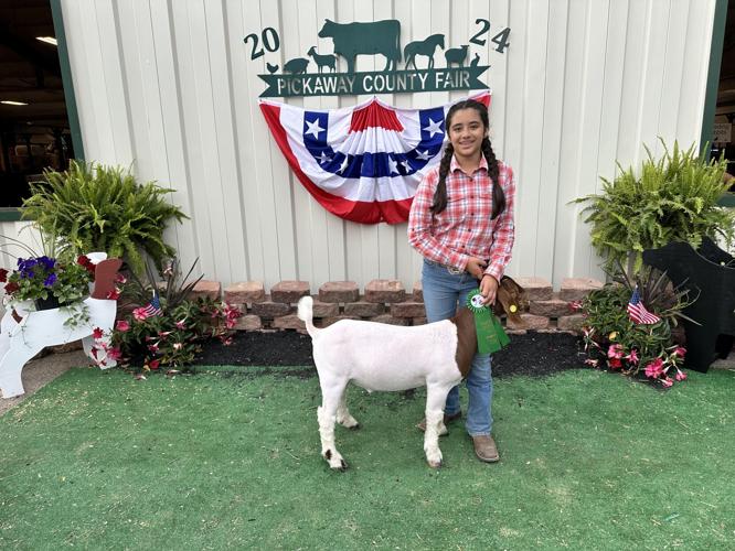 Blue ribbon success at Pickaway County Fair | Community ...