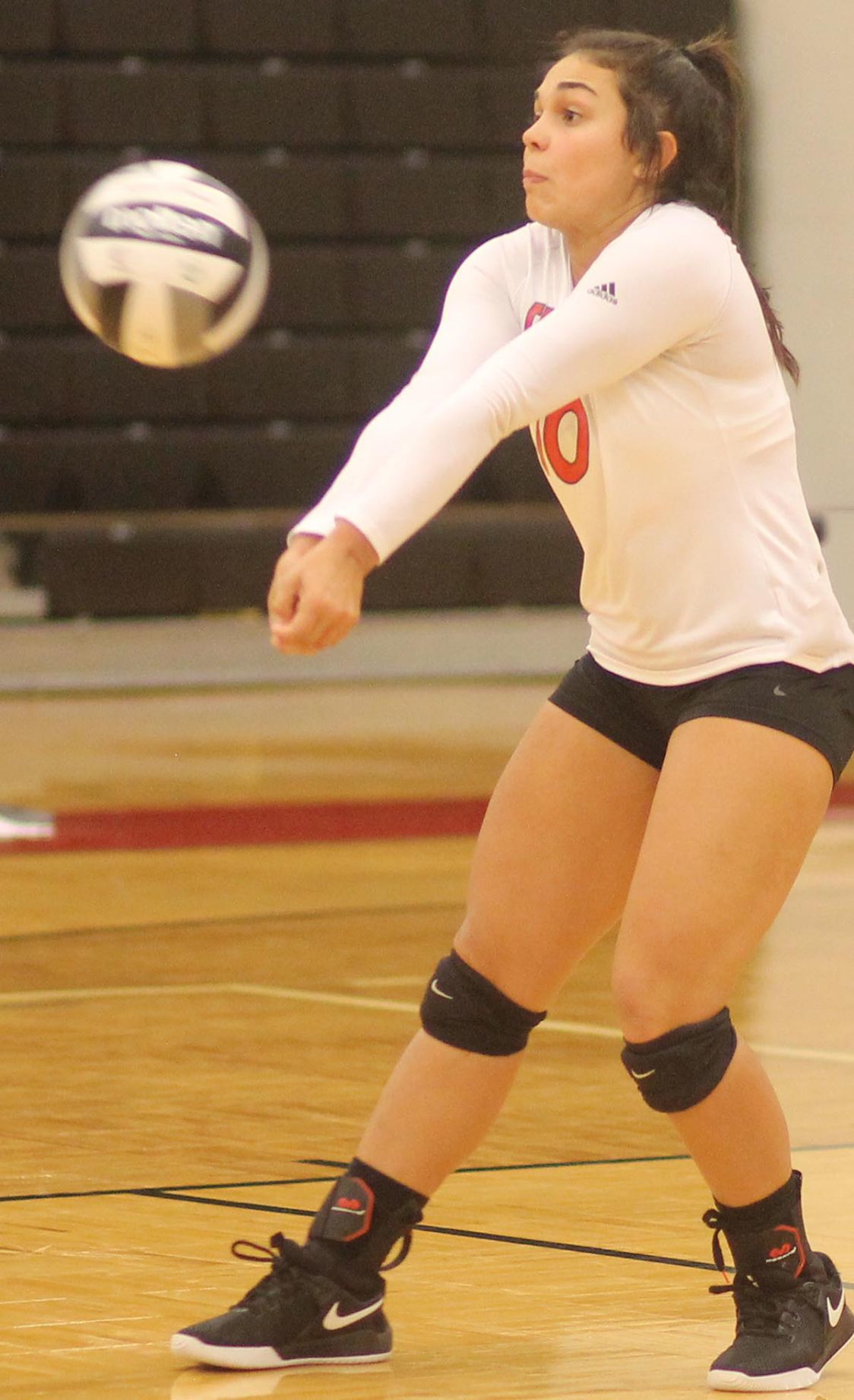 Tigers defeat Panthers in tourney opener | Sports | circlevilleherald.com