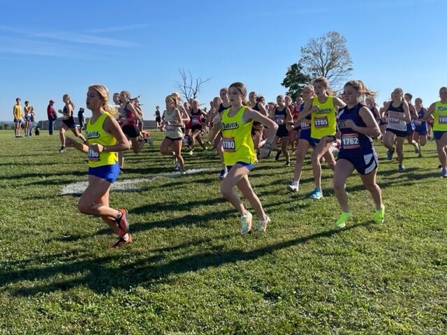 Tigers' and Braves' XC teams compete at Falcon Invitational | Sports ...