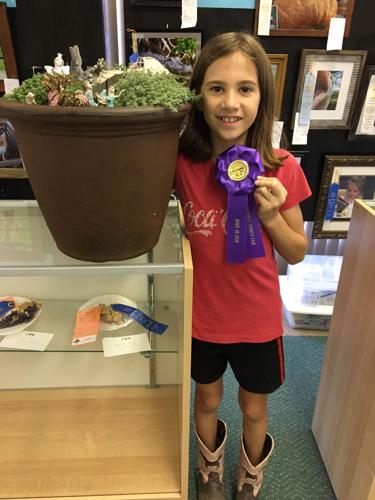 Barnes wins Best of Show for Fairy Garden | Community ...