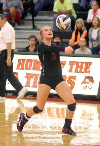 Braves defeat Tigers in four sets | Sports | circlevilleherald.com
