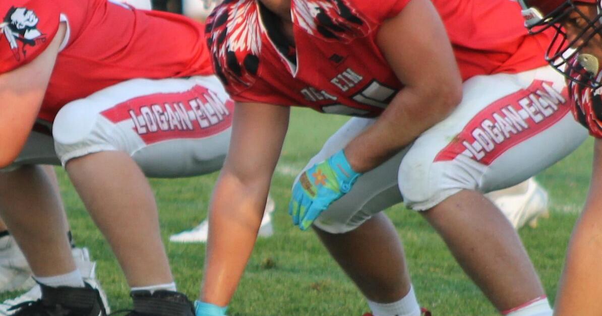 2024 MSL football honors | Sports | circlevilleherald.com