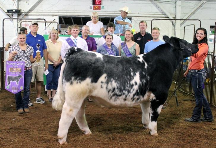 Livestock Sale | Gallery | circlevilleherald.com