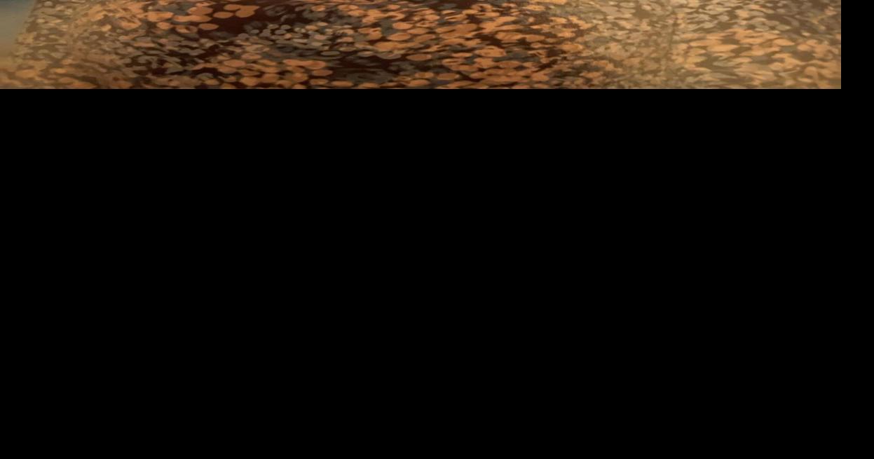 Susan K. Lowry | Obituaries | circlevilleherald.com