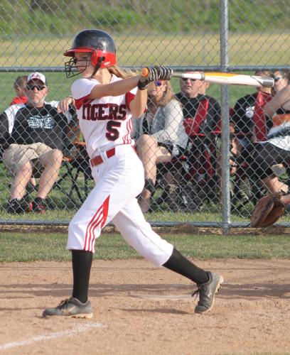 Tigers pull away from Braves | Sports | circlevilleherald.com