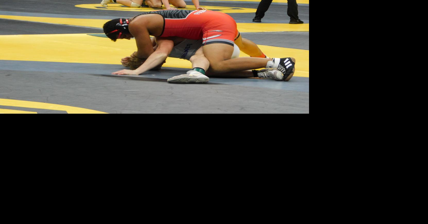 OHSAA State Wrestling Tournament Photo Gallery Online | Sports ...