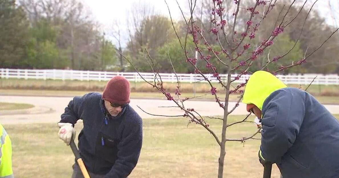 BA observing "Arbor Week" | News | citynewstulsa.com