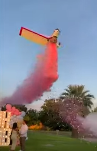 Tragedy Strikes Gender Reveal Party: Pilot Dies in Crash | Community ...