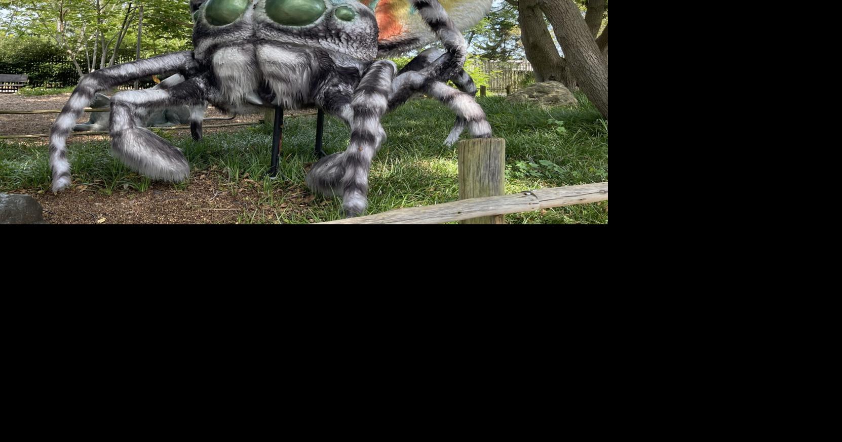 Tulsa Zoo BUGS exhibit Grand Opening set for March 14th | News ...