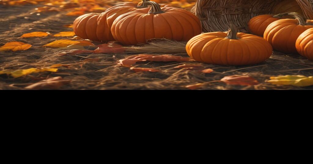 Tulsa's Zomi Community Comes Together to Celebrate Annual Khuado Pawi ...