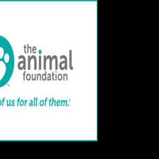 Animal Foundation updates status on dozens of animals | News ...