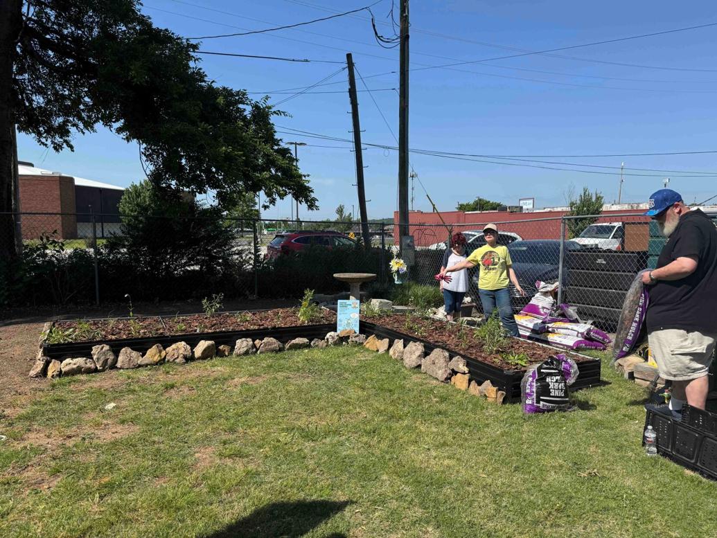 Butterflies at the Belvidere; historical society receives pollinator ...