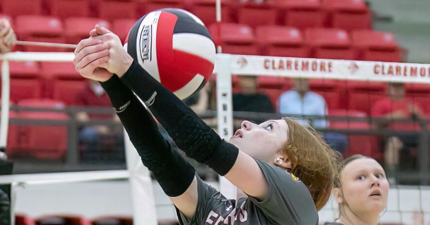 VOLLEYBALL: Verdigris aims for rebound season with experienced roster ...