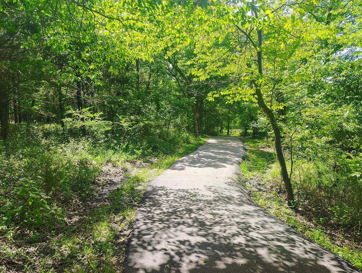 Ethnobotany Walk slated May 1 at RSU Conservation Education Reserve ...