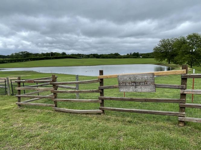 Visit to Shepherd’s Cross recalls, shares sustainable life | News ...