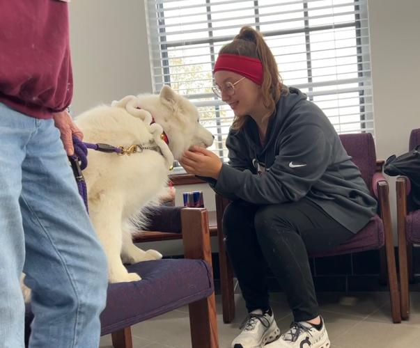 Fetch a break: Therapy dogs provide respite at RSU library during ...