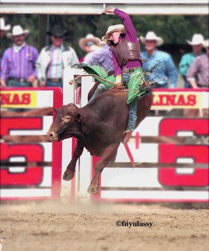 Godley's Herman to be inducted into the Texas Rodeo Cowboy Hall of Fame ...