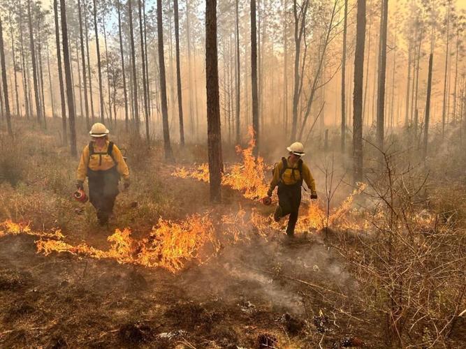 Women in fire: Blazing through barriers | Living | cleburnetimesreview.com