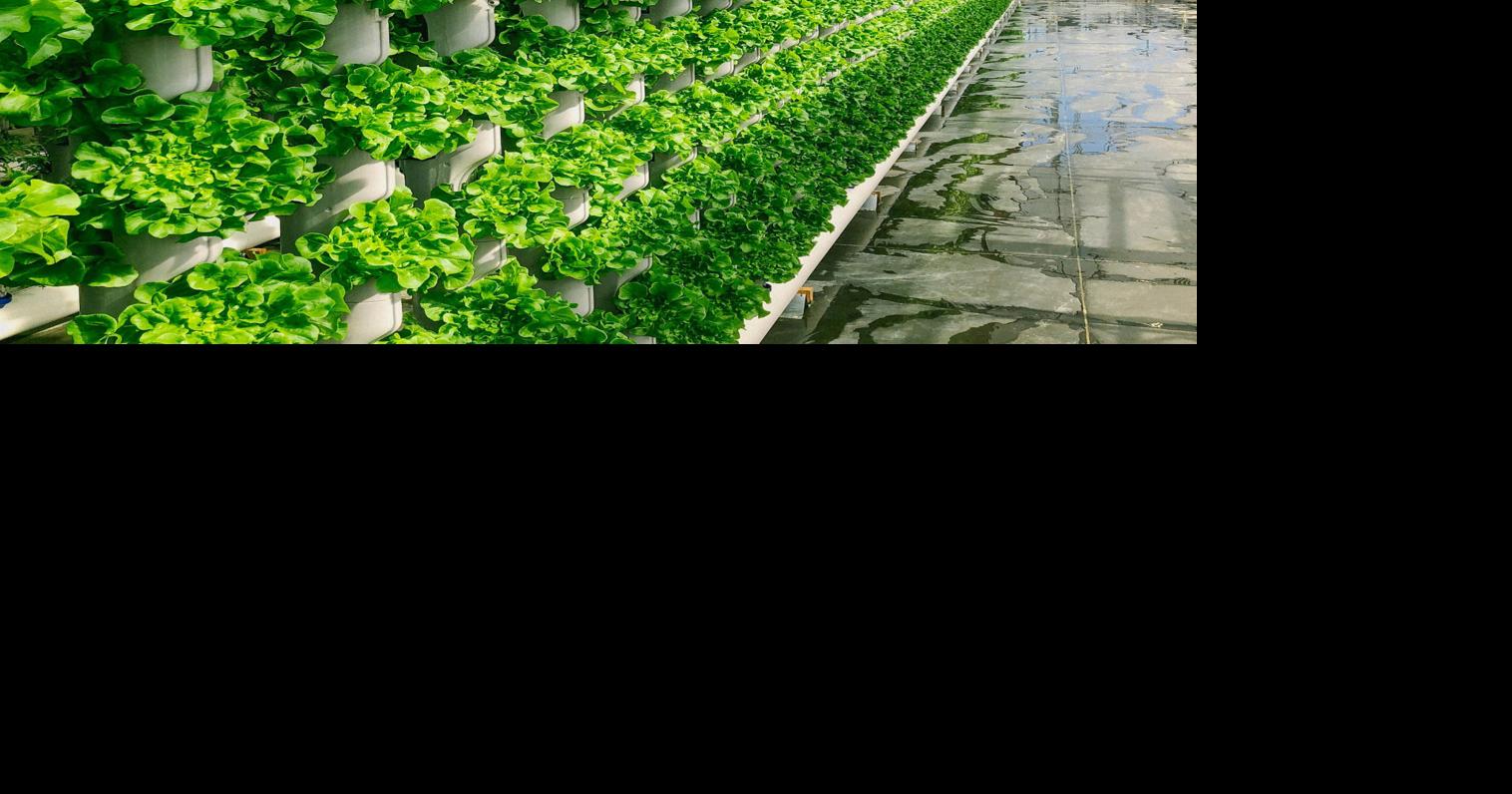 Growing up | Local News | cleburnetimesreview.com