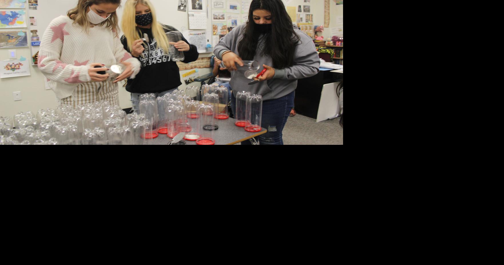 Smith Middle School to host Veterans Day parade | Local News ...