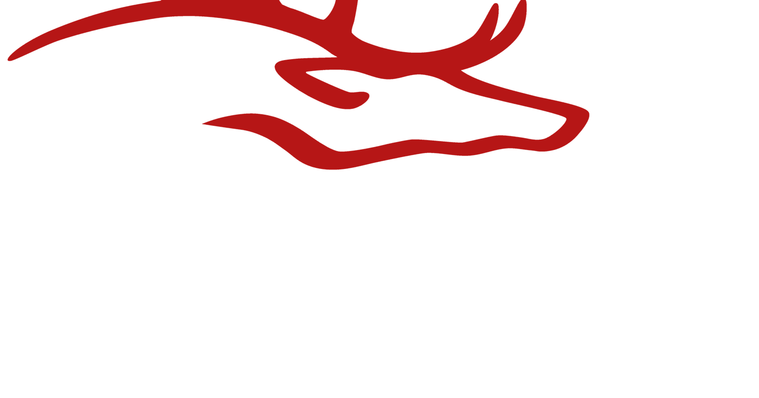 Lady Elks have little trouble in bi-district sweep of North Side ...