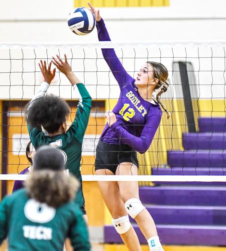 Godley leads 10-4A selections; Alvarado’s Jaiden Wright named all ...