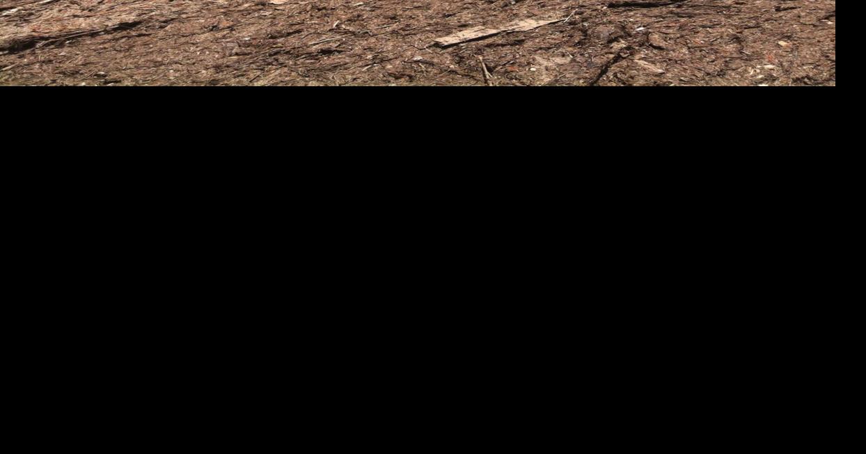 Officials: Hamm Creek remains closed indefinitely | Local News ...