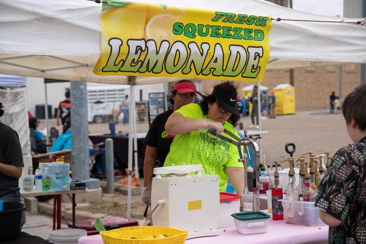 Hundreds visit SpringFest | Gallery | cleburnetimesreview.com