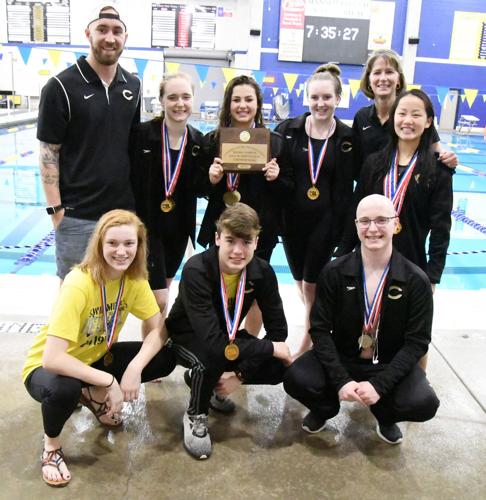 Several Cleburne swimmers qualify for state meet | Sports ...