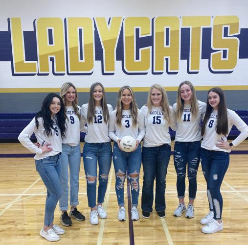 All-Johnson County volleyball teams loaded after strong seasons ...