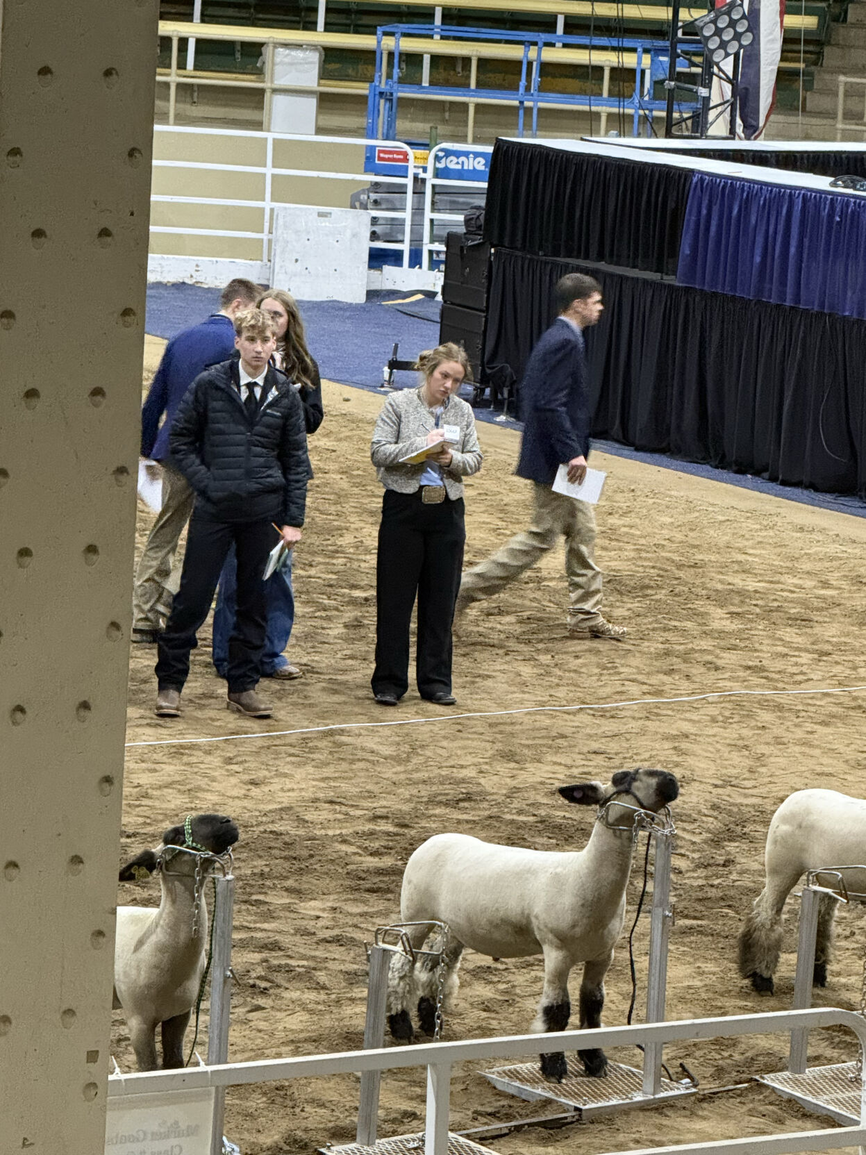 Johnson County livestock judging team earns international bid | Local ...