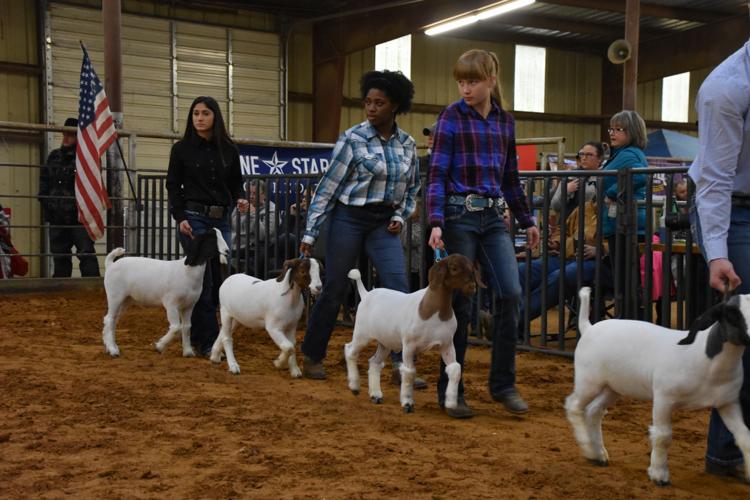 Hard work pays off for goat champ | Local News | cleburnetimesreview.com