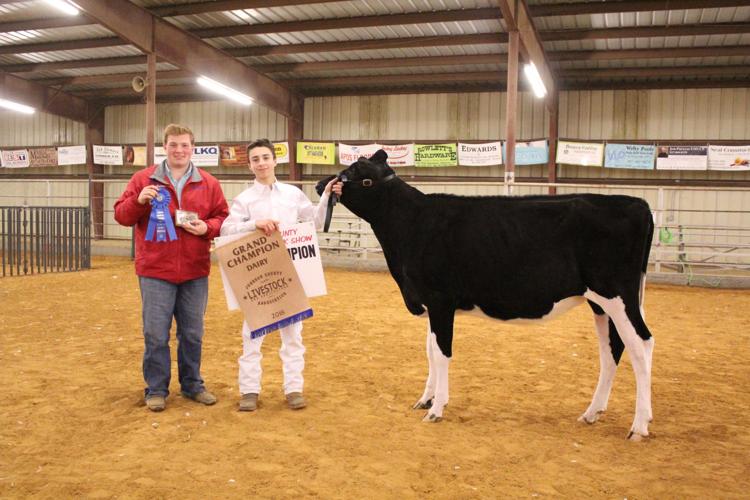 Bingham, Ebbens earn top honors at annual dairy show | Local News ...