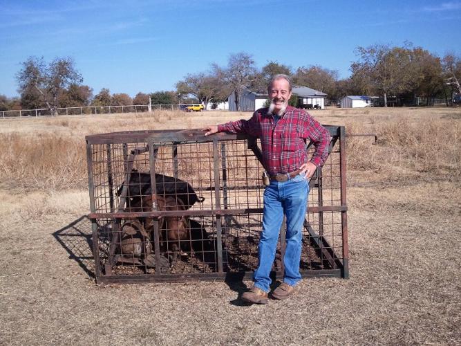 Going whole hog for wild boar | Local News | cleburnetimesreview.com