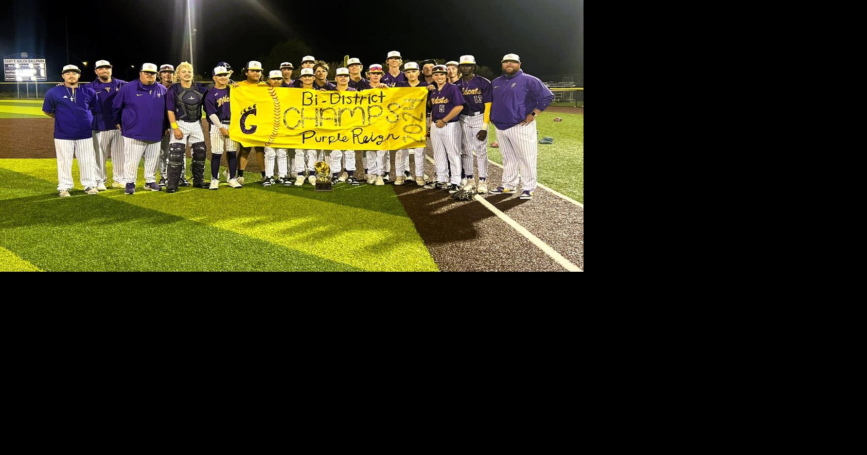 Two baseball teams claim bi-district titles | Sports ...