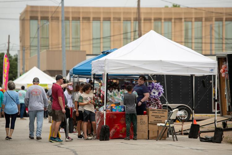 Hundreds visit SpringFest | Gallery | cleburnetimesreview.com
