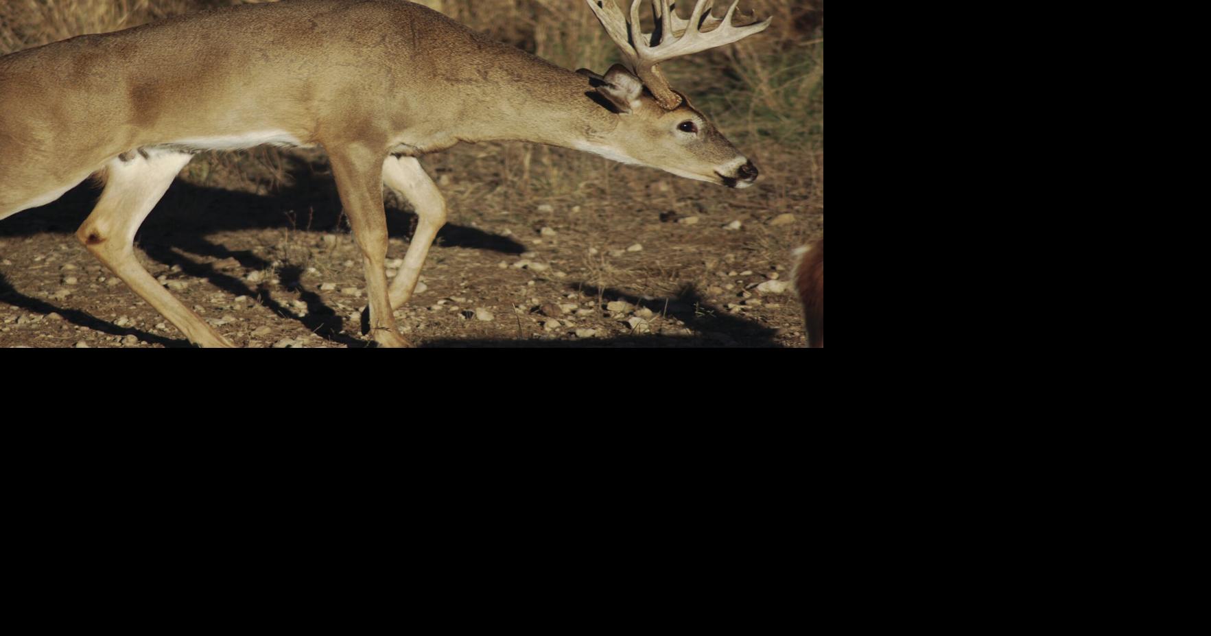 Luke Clayton: High Water Deer Hunting | Sports | cleburnetimesreview.com
