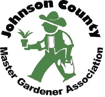 JCMG: Tips for rose pruning and planting | Opinion ...